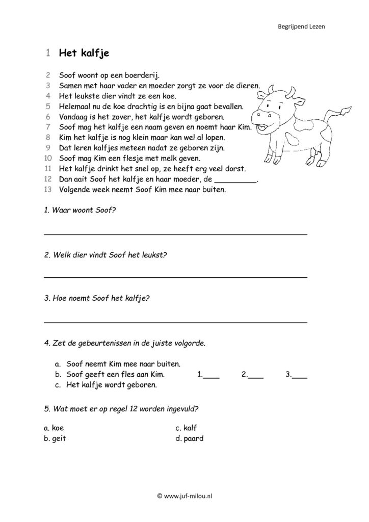 Begrijpend Lezen 6 – Juf Milou Webshop